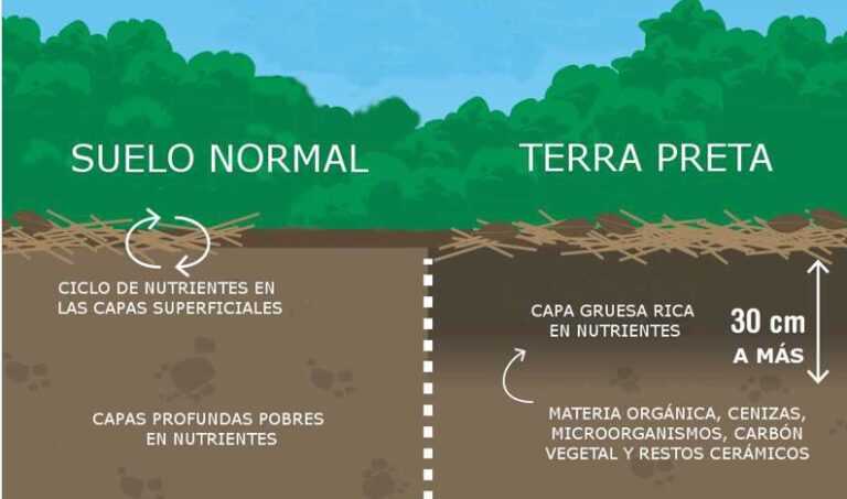 La “Terra Preta”, la tierra fértil y productiva creada por nuestros ...